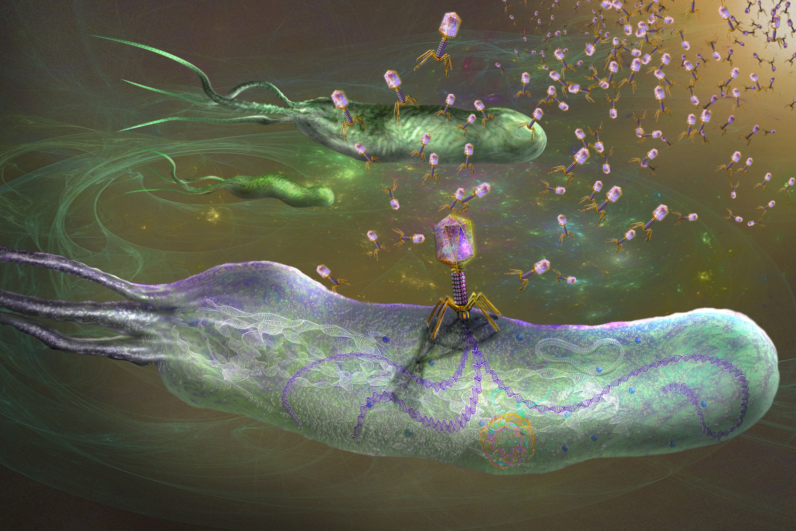 Some viruses have a mysterious 'Z' genome | Live Science