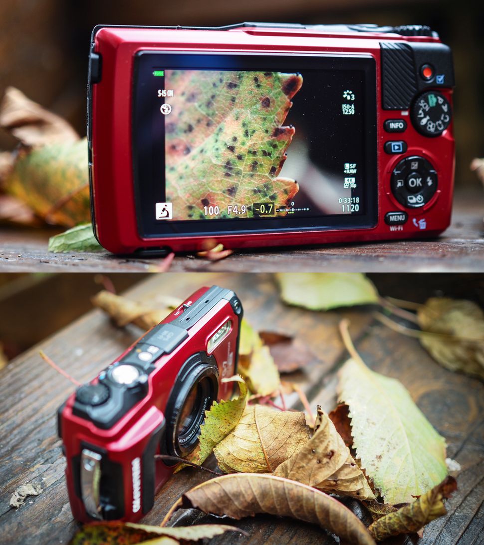OM System Tough TG-7 review: indestructable camera, impressive results ...