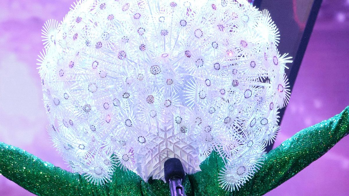 The Masked Singer Season 9 Eliminations | Cinemablend