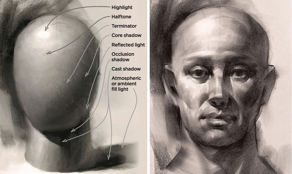 How to build light and shadow in charcoal | Creative Bloq