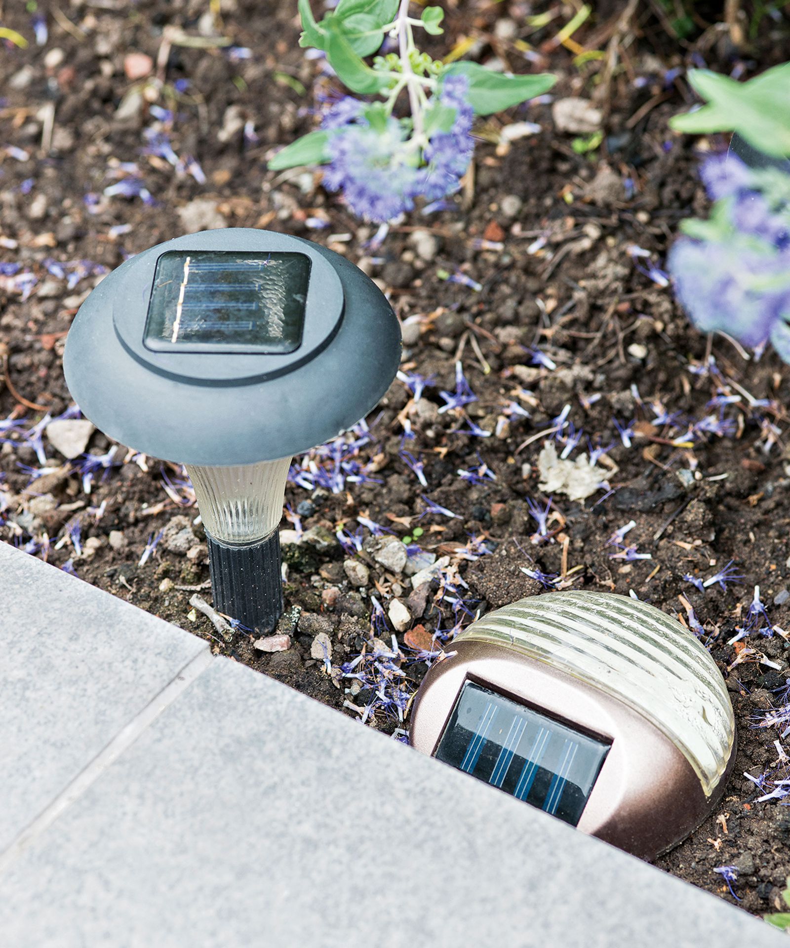 How to make solar lights work in winter: 4 simple tips | Homes and Gardens