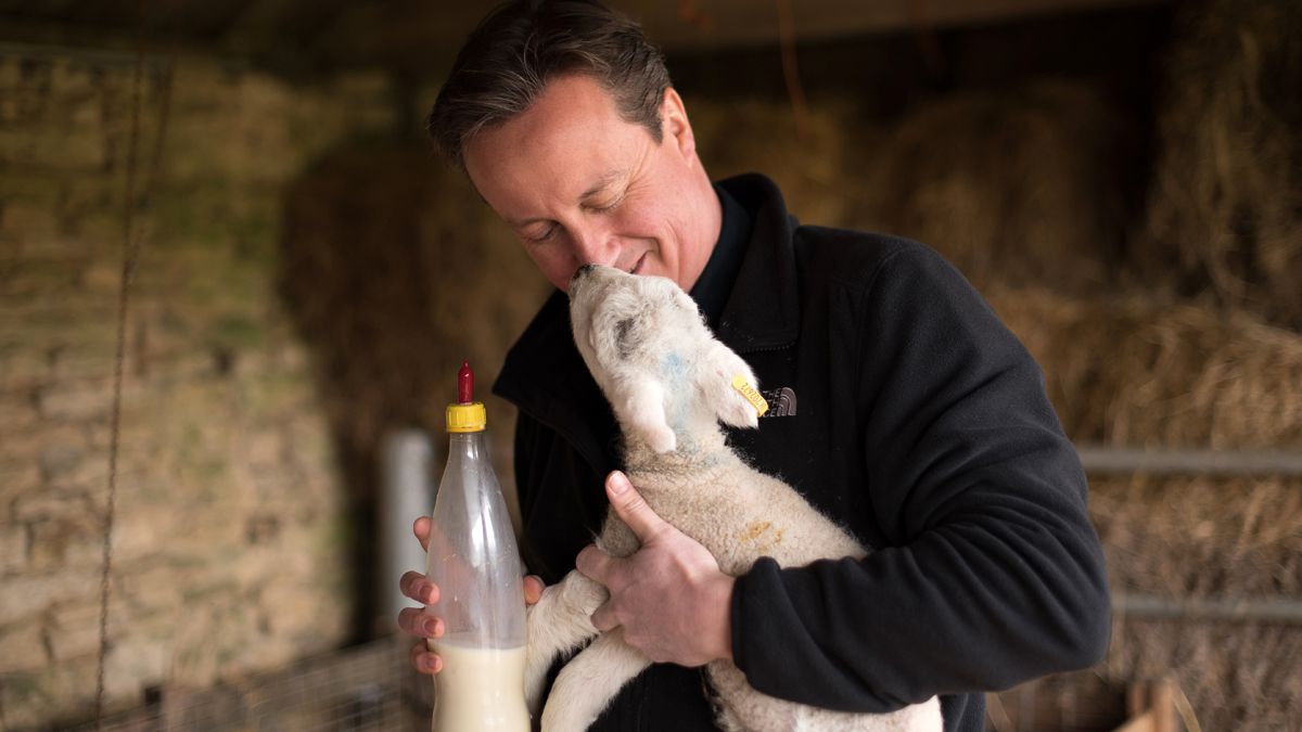 End of an era: The highs and lows of David Cameron's career | The Week