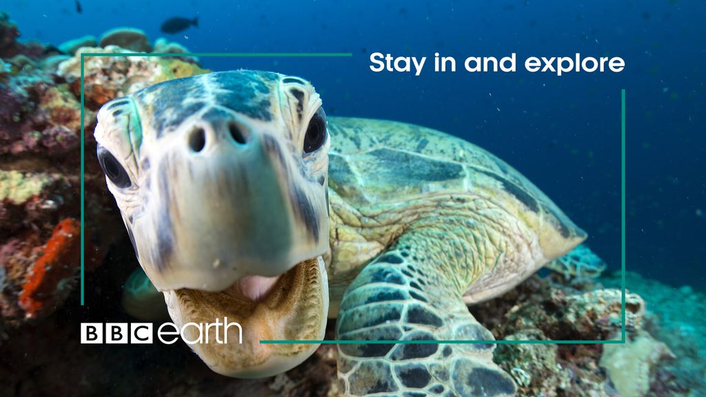 Best Microsoft Teams backgrounds of 2025 | TechRadar