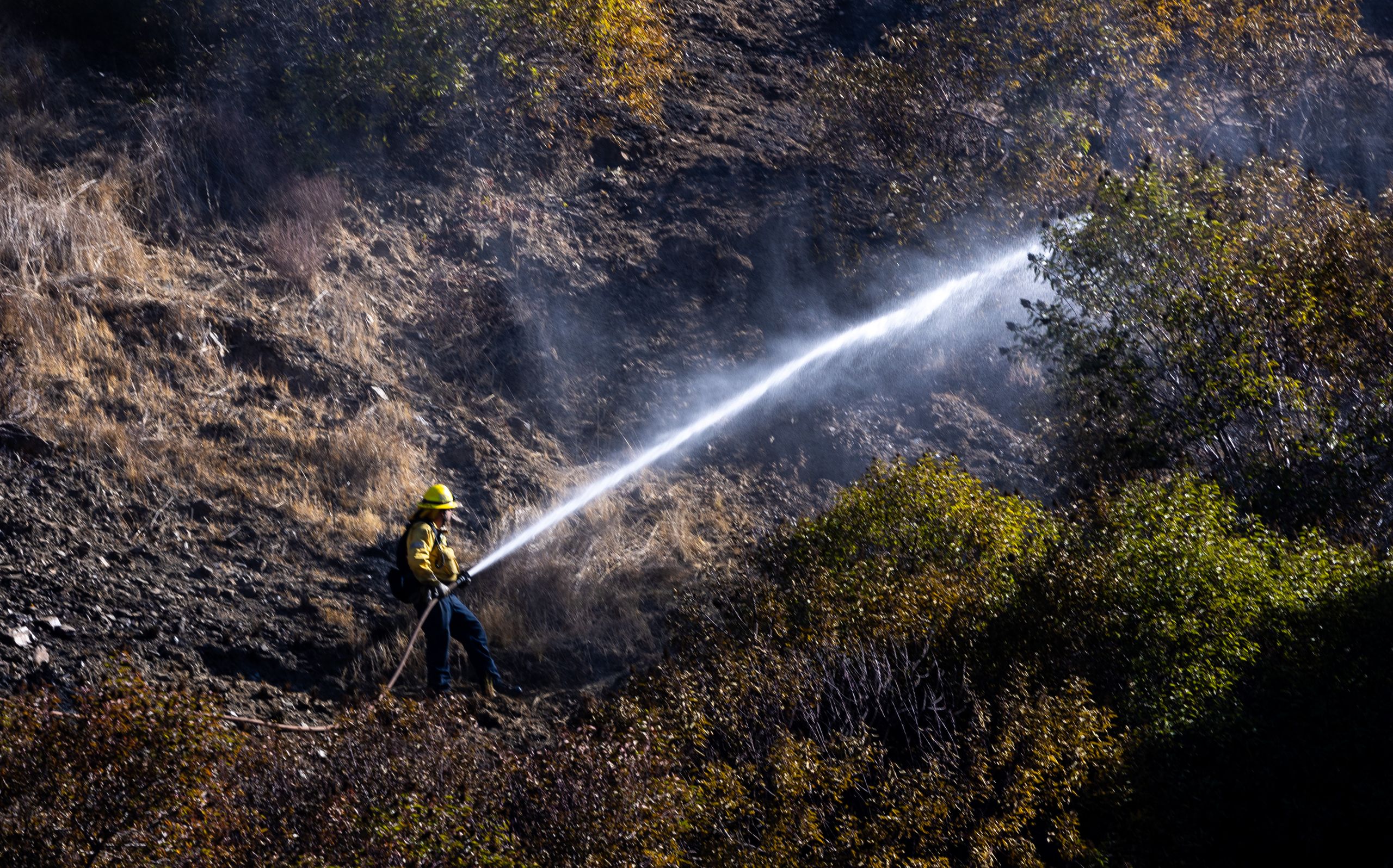 Rebuilding Los Angeles: landscape and nature after the fires | Wallpaper*