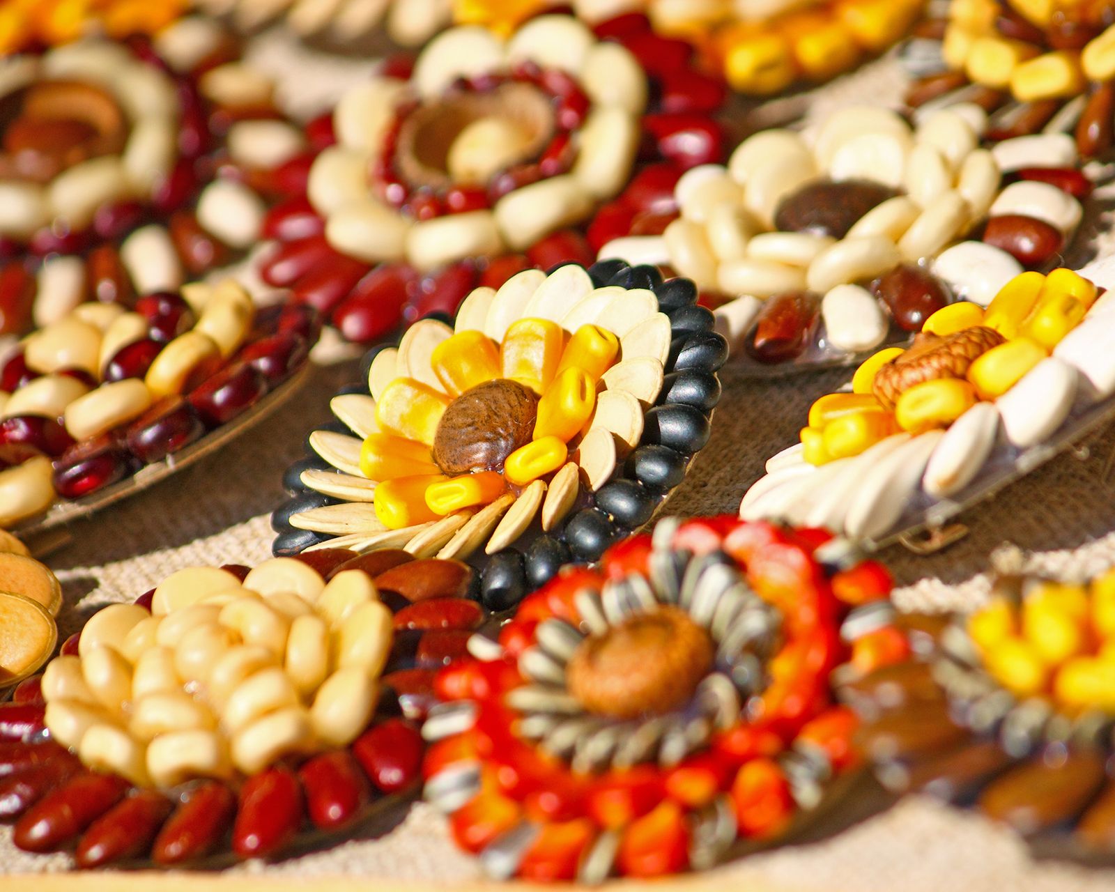 5 Creative Ways To Use Leftover Seed – Don't Throw It Away! | Gardening ...