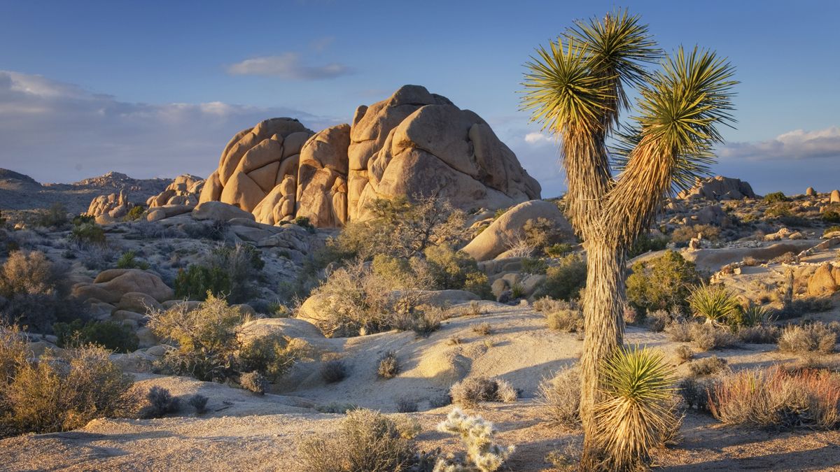 The 10 best desert National Parks in the US | Advnture