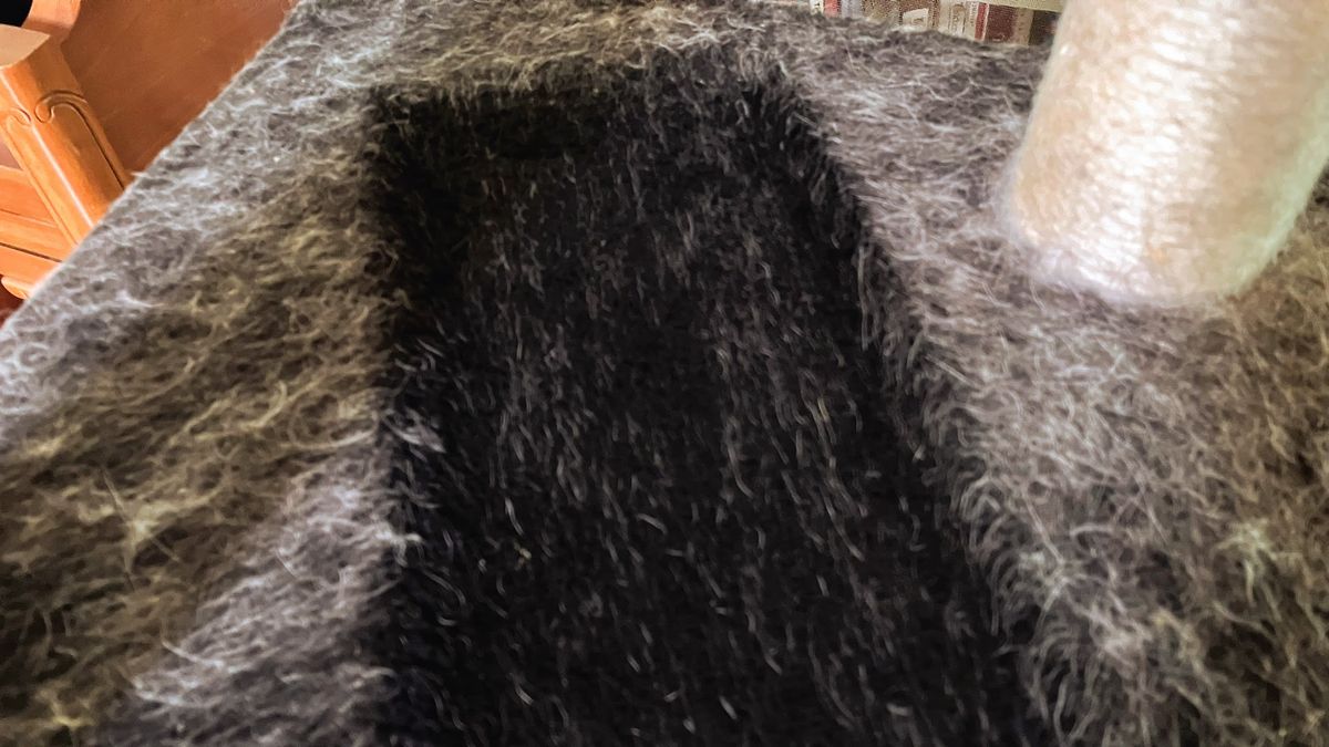 Shark MessMaster Wet/Dry Vacuum review | Top Ten Reviews