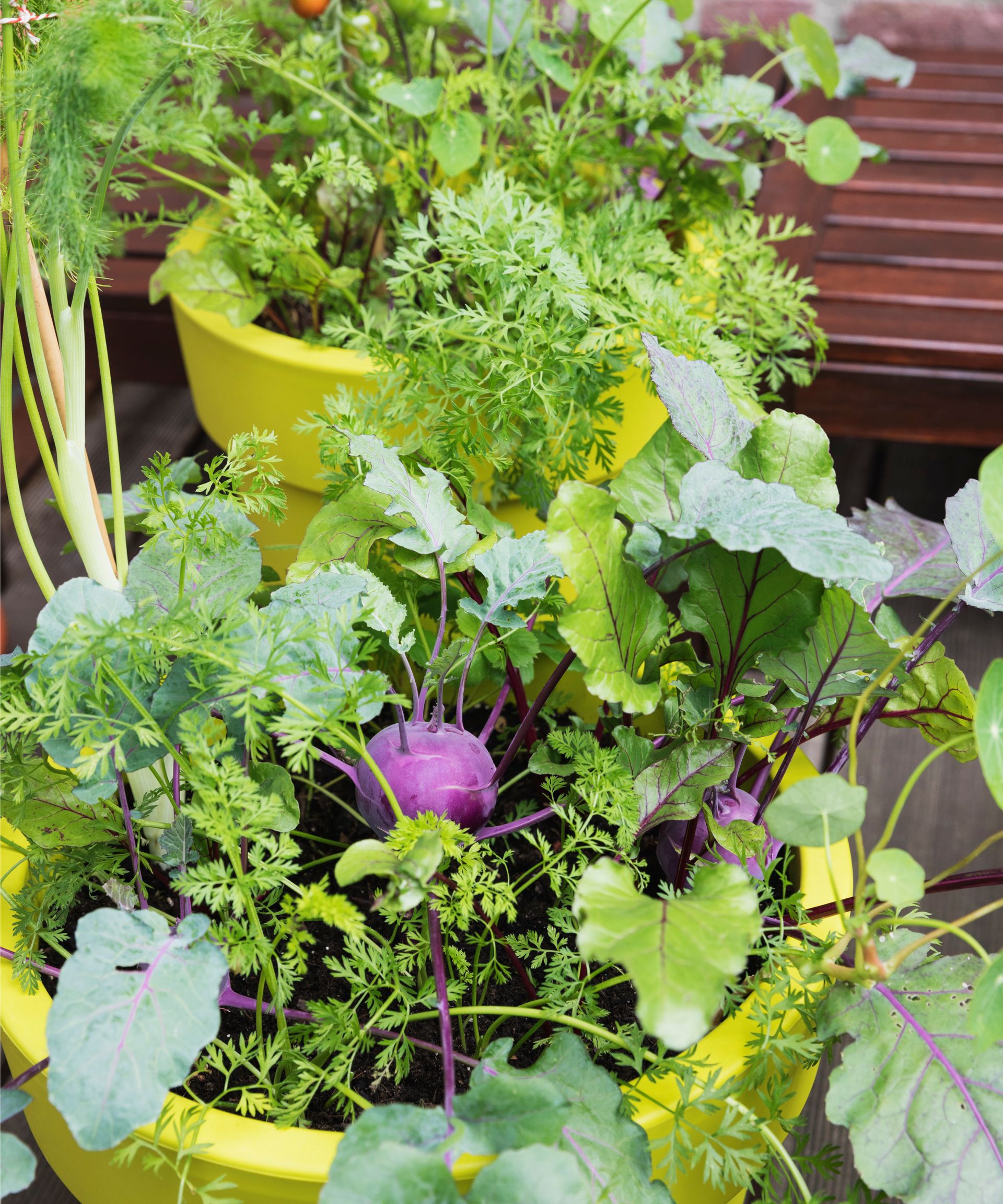 8 Fantastic Container Vegetable Combinations | Gardening Know How