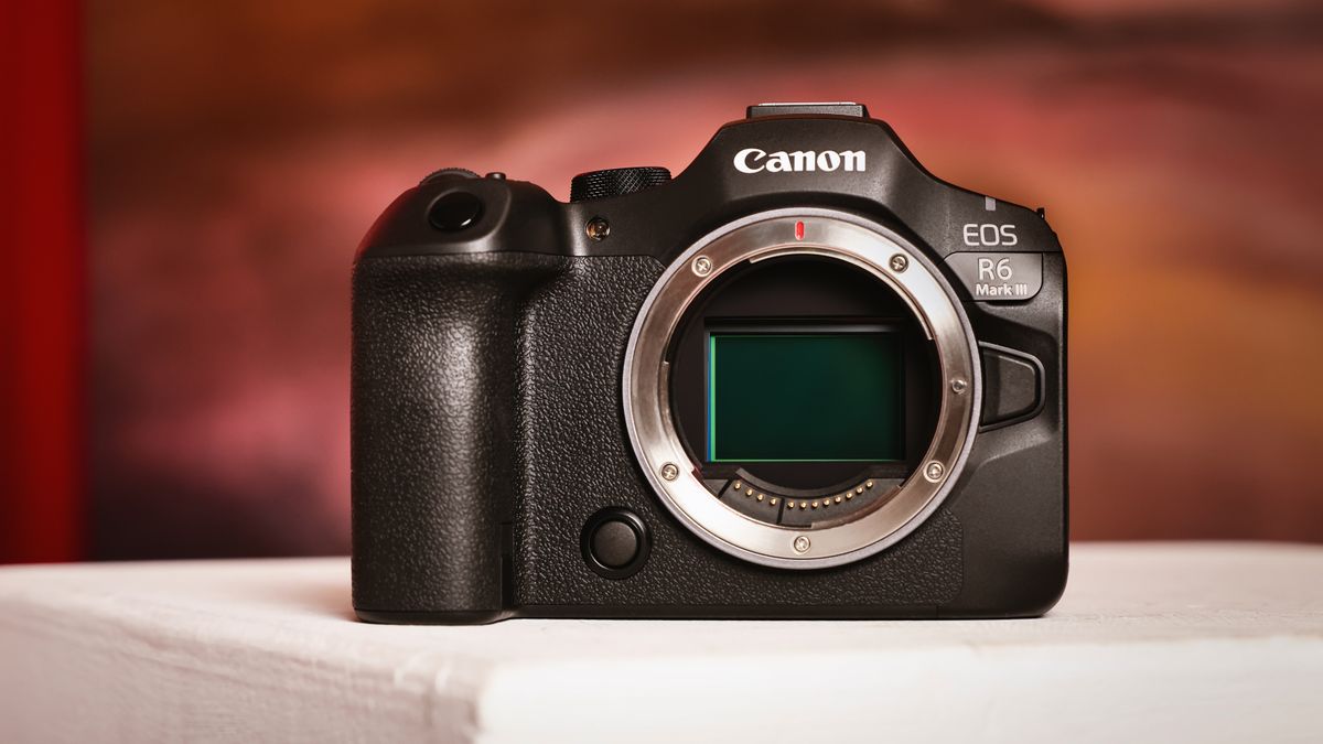 Canon EOS R6 Mark II vs R6 Mark III: What's the difference? | Digital ...
