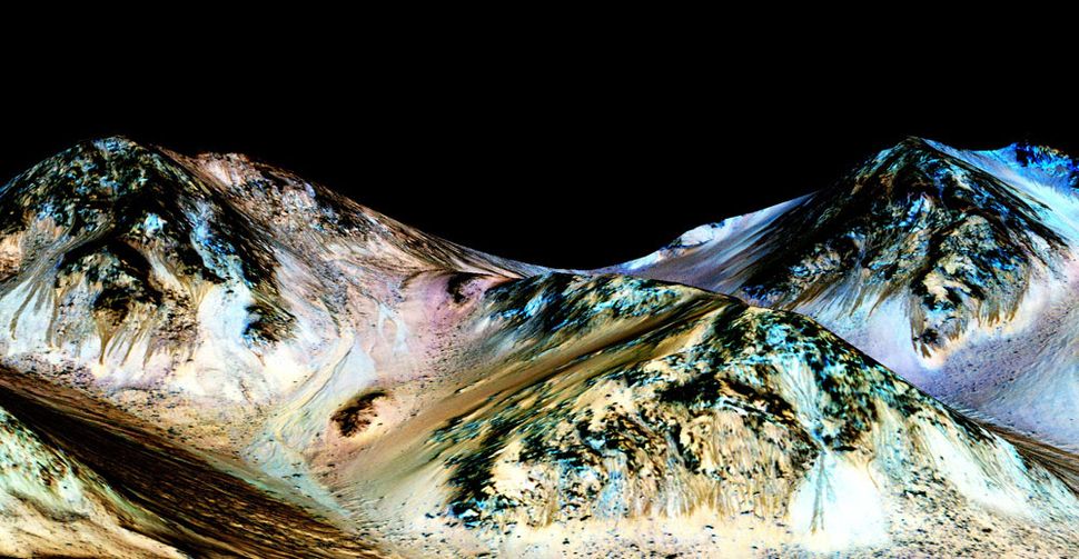 Why Is Water So Essential for Life? | Live Science