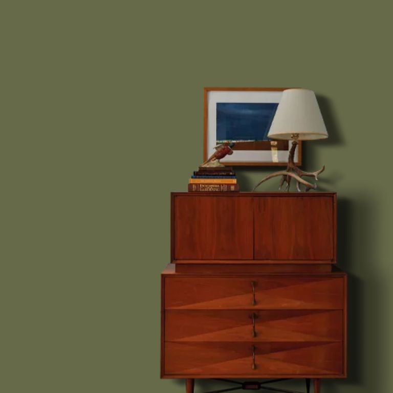 What are the best olive green paint colors? | Homes and Gardens