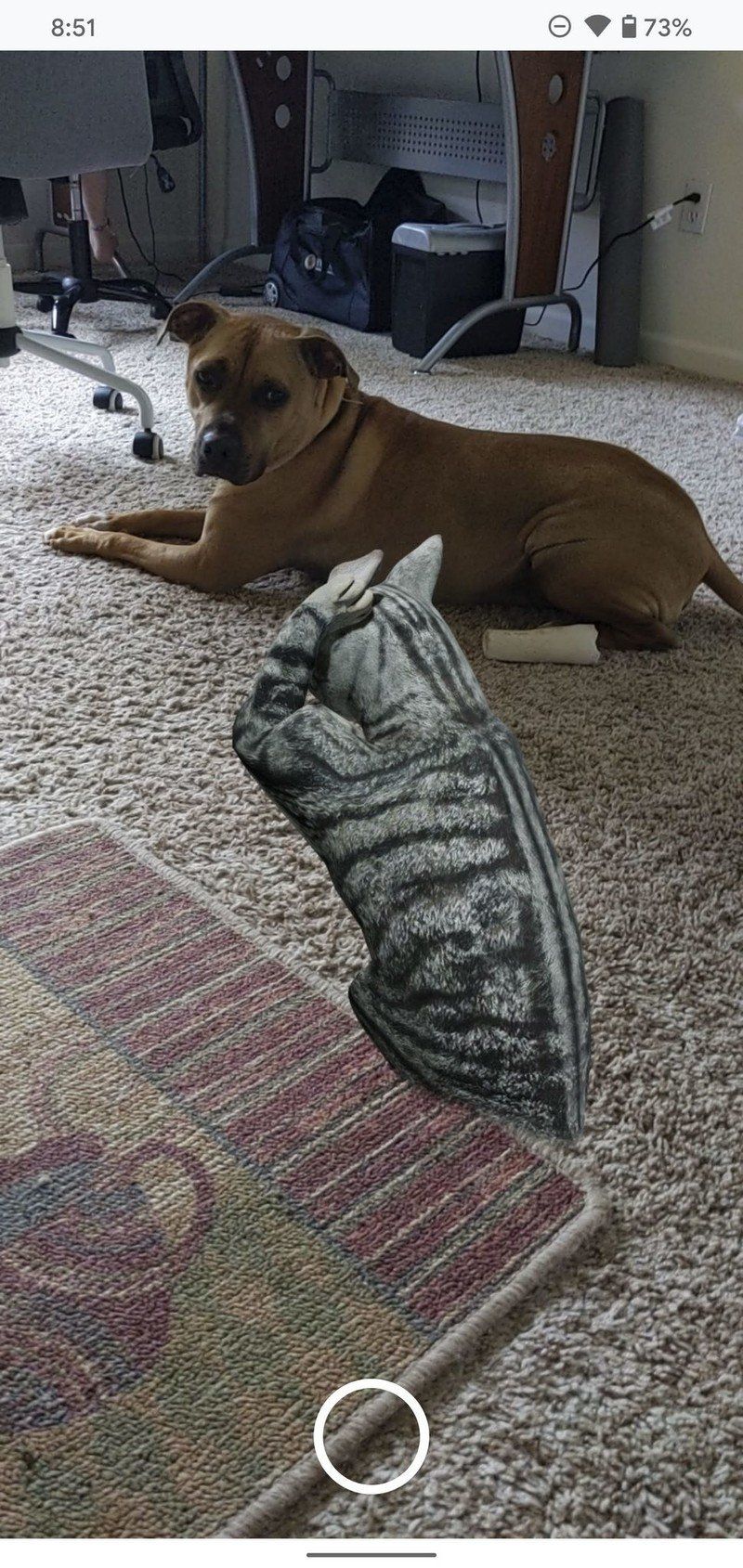 Google 3D animals & AR objects: Full list & gallery | Android Central