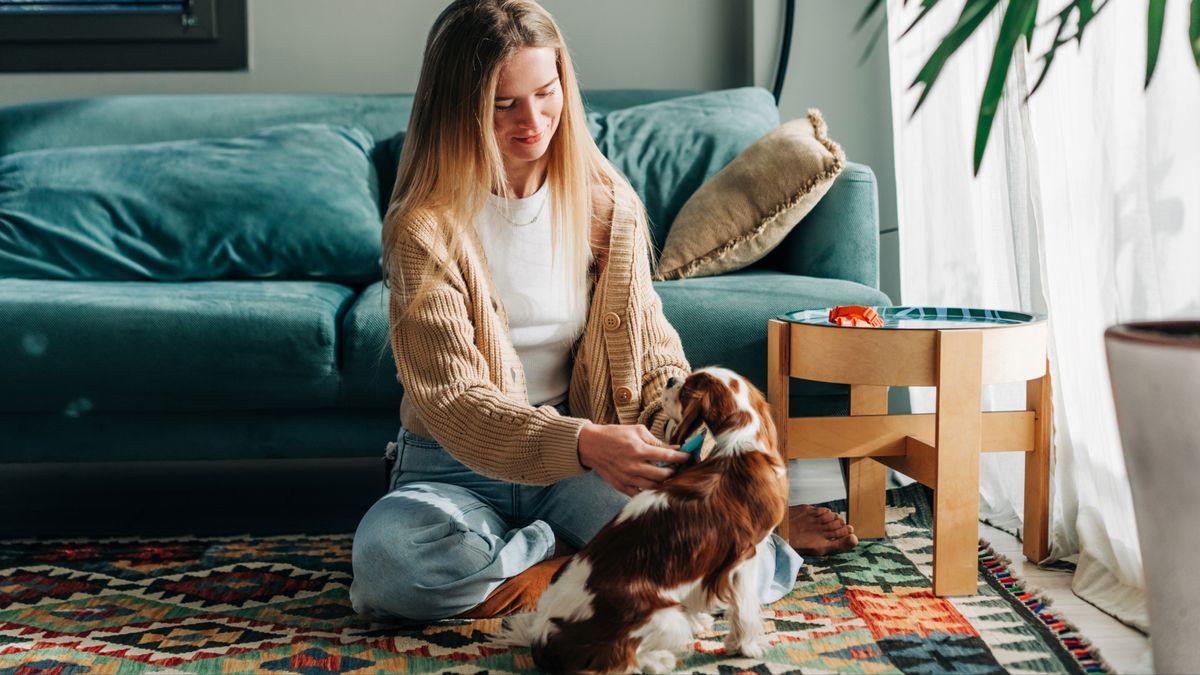 20 tips for keeping a house clean with pets | PetsRadar