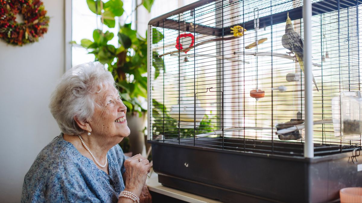 20 ways to bond with your bird: Simple tips to try | PetsRadar