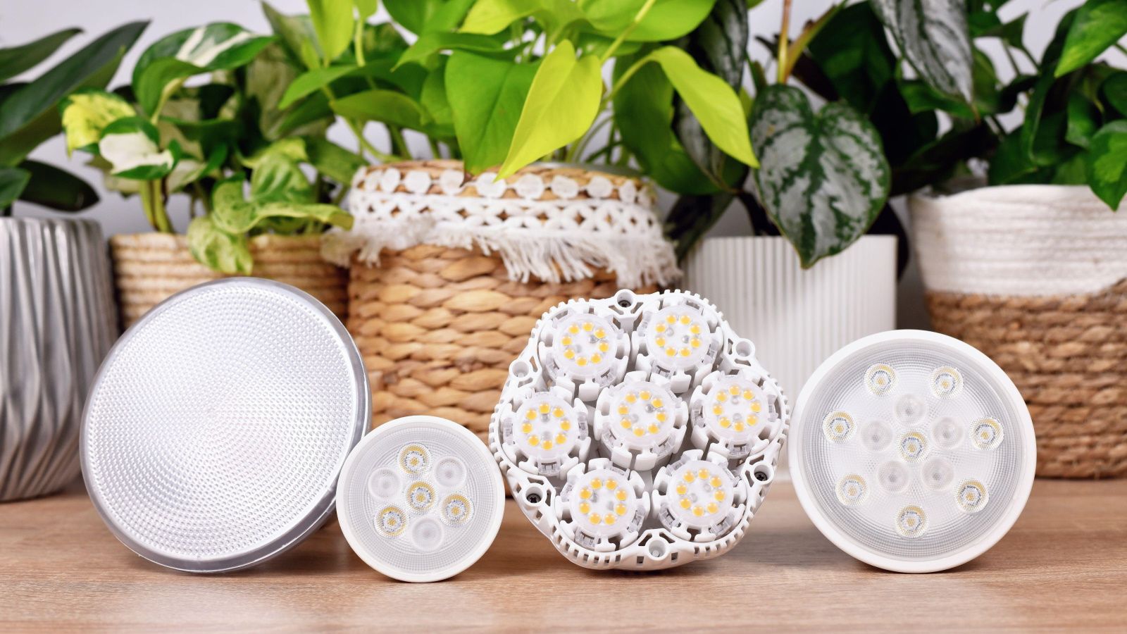 When to use grow lights and how long to use grow lights | Homes and Gardens