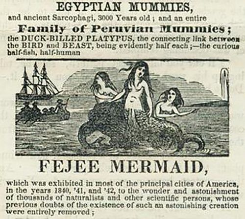 The Feejee Mermaid: Early Barnum Hoax | Live Science