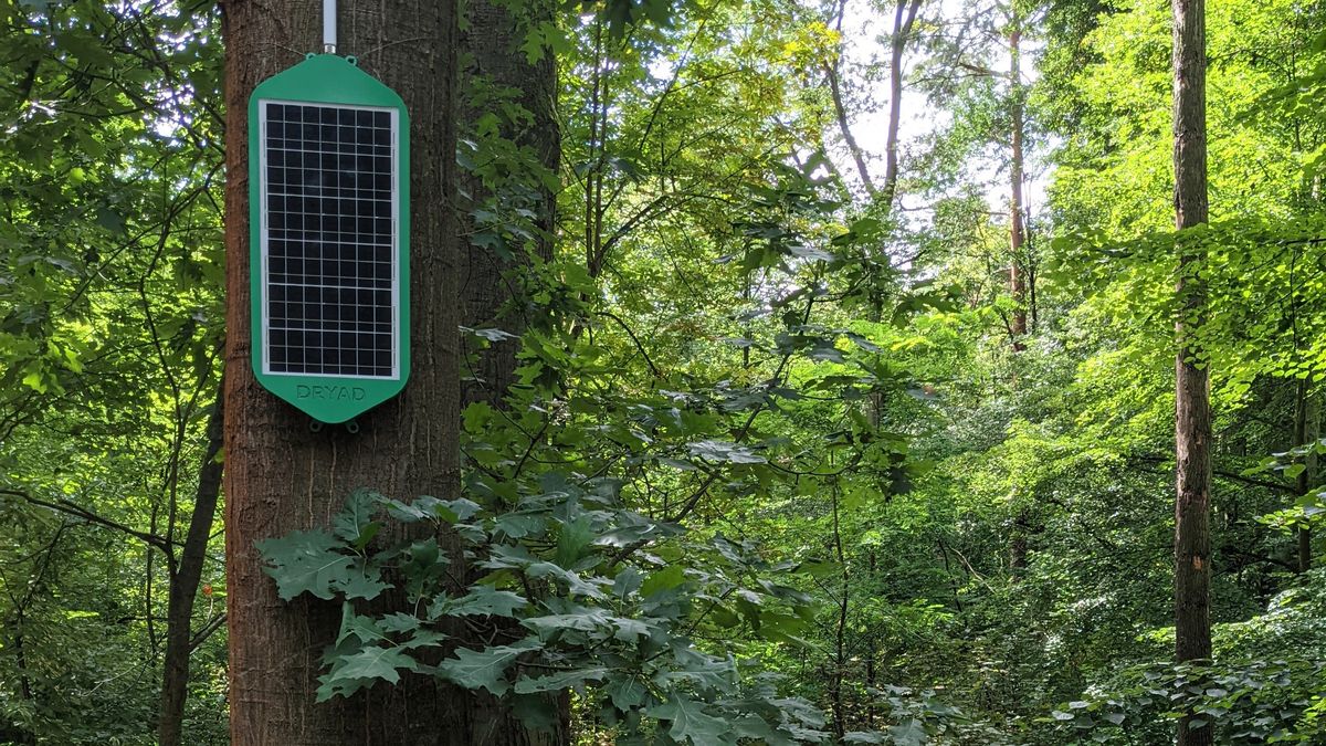 “Nature is beyond the stage where it can help itself” – this tech ...