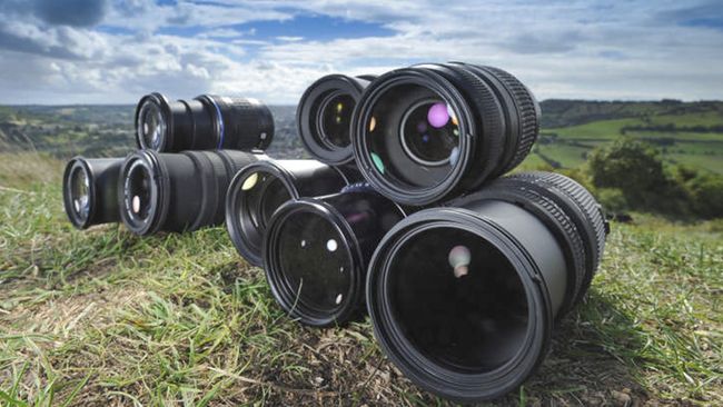 The best lenses for safari photography: get close to wildlife while maintaining a respectful ...