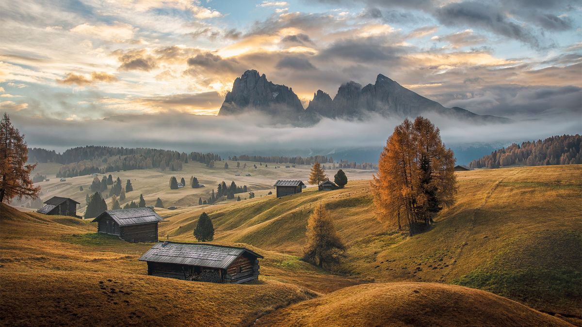 This winning photograph beautifully captures the atmosphere of autumn ...