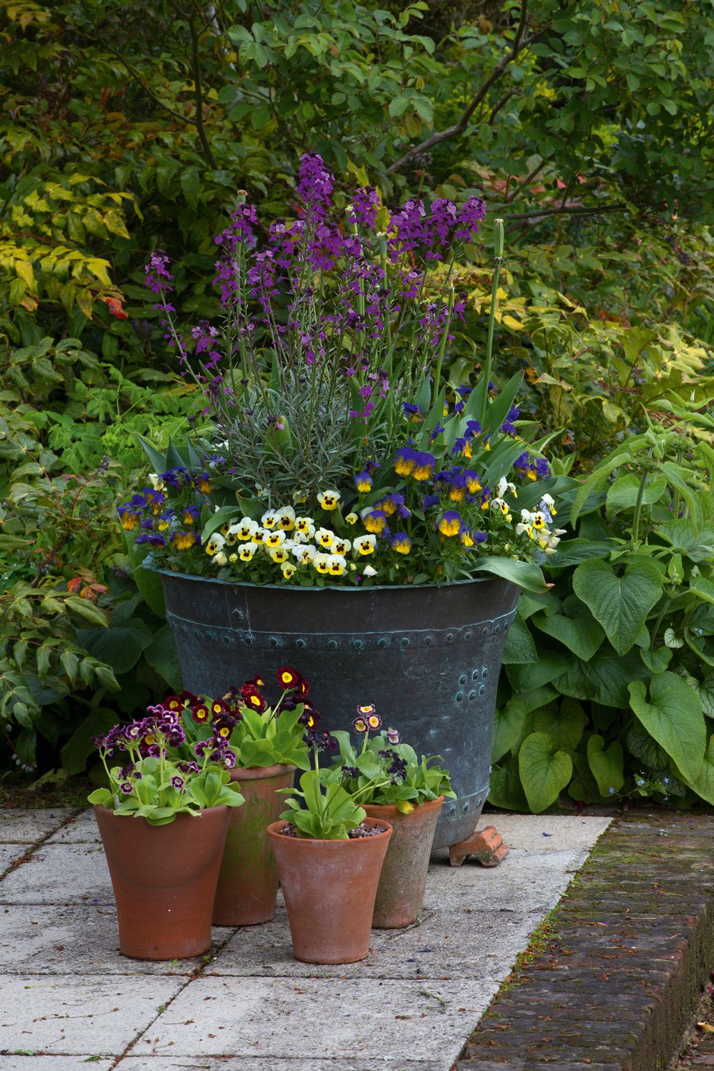 Thriller, spiller, filler: how to plant up containers successfully ...