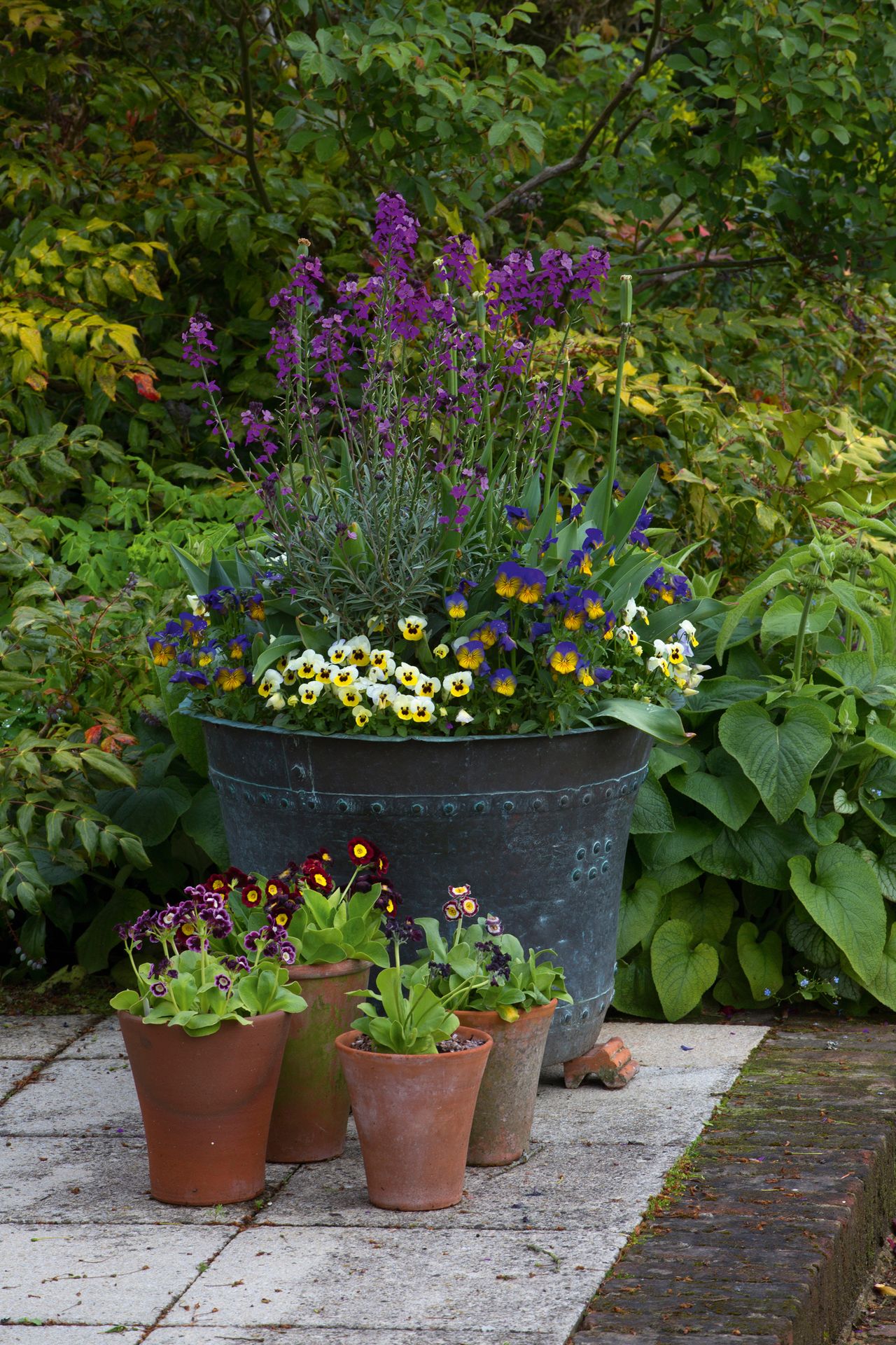 Thriller, spiller, filler: how to plant up containers successfully ...