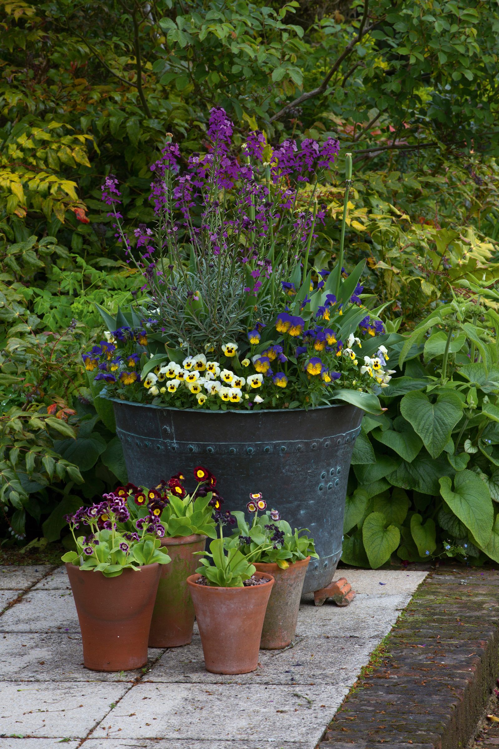 Thriller, spiller, filler: how to plant up containers successfully ...