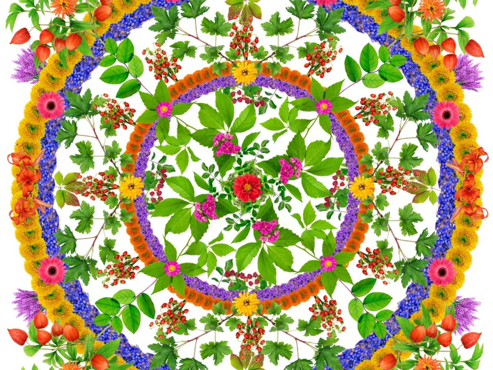 What Is A Mandala Garden: Tips On Building A Mandala Garden | Gardening ...