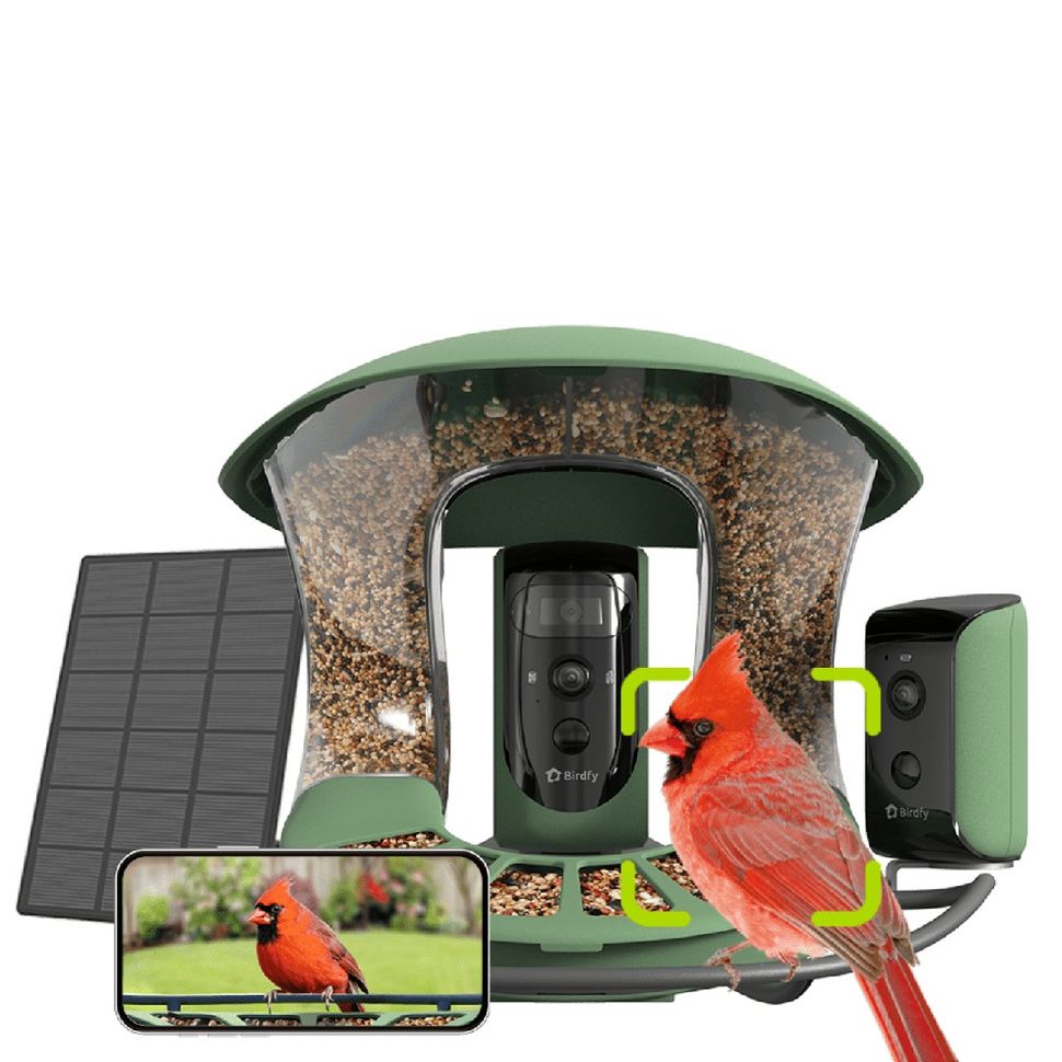 The best bird feeder camera | Digital Camera World