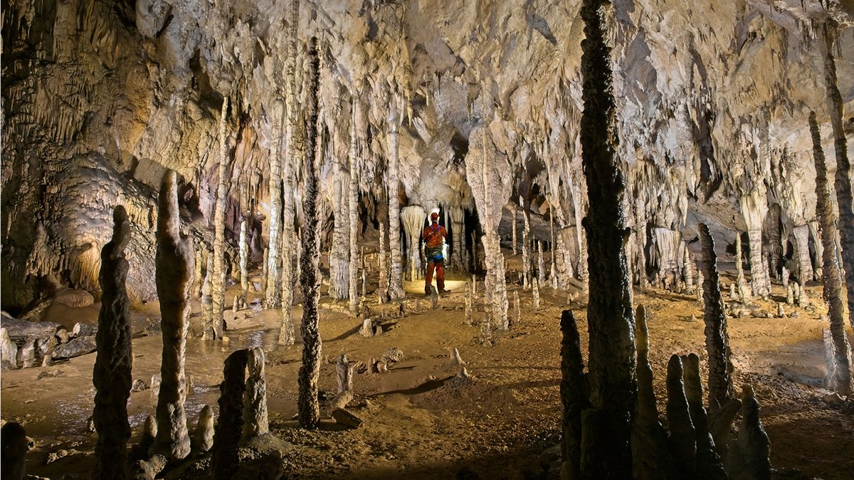 Caving photographer Sam Davis shines a light on his underground camera ...