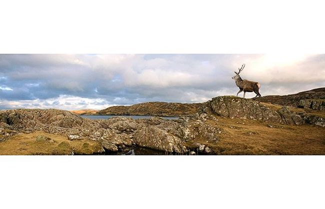 The Best Windows 10 Themes (and Where to Download Them) | Laptop Mag