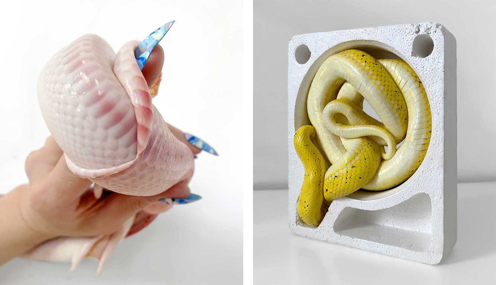 Polly Morgan on taxidermy snakes and social media trickery | Wallpaper*