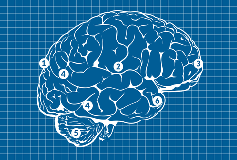 Mind games: How your brain works during a game | FourFourTwo