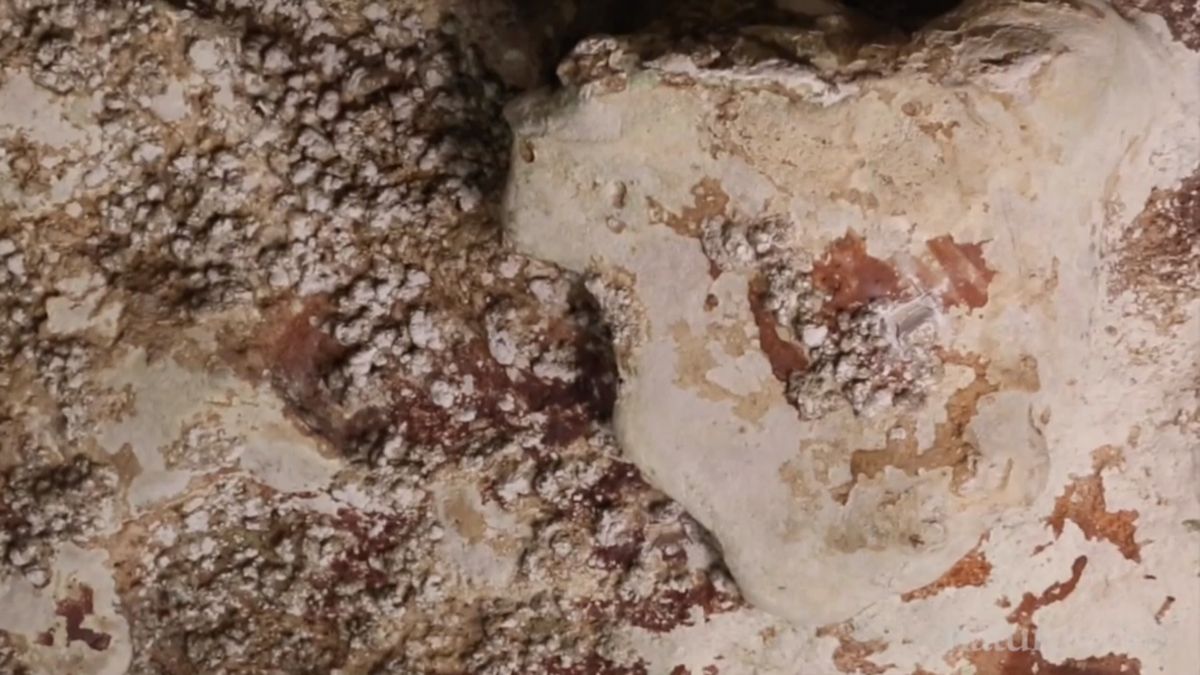 In photos: The world's oldest cave art | Live Science