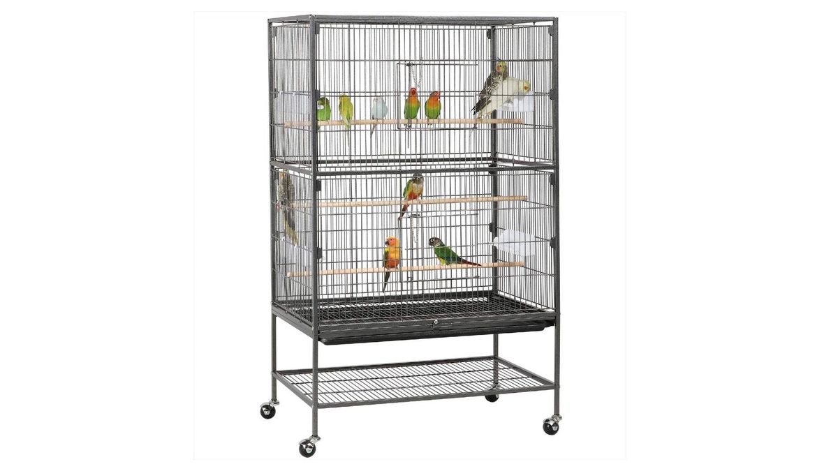 Best parrot cage: Get a first-rate home for your bird | PetsRadar