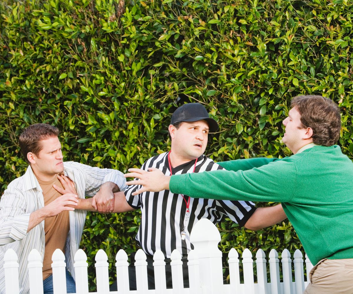 Neighbour's tree blocking sunlight? Follow this advice | Homebuilding