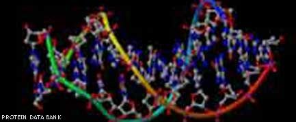 Study: Sexual Desire is in Your Genes | Live Science