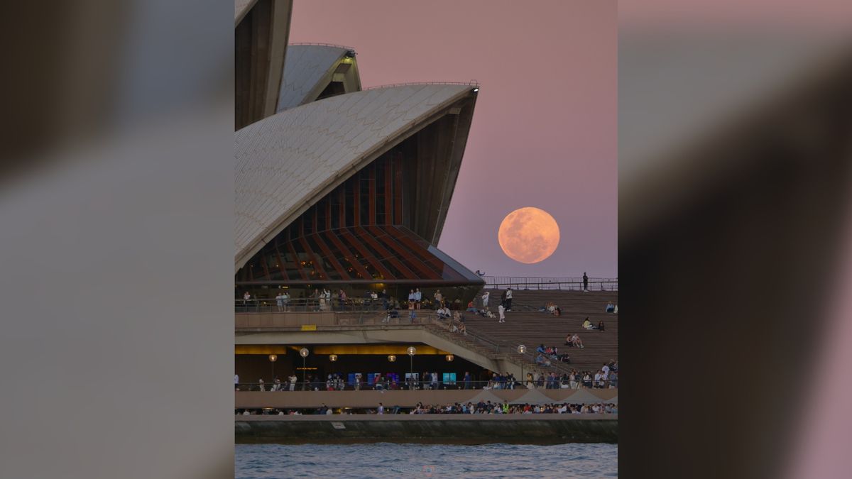 See stunning photos of November's full 'Beaver Moon' — the biggest ...