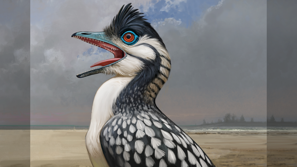 Archaeopteryx, one of the world's first proto birds, has a set of weird ...