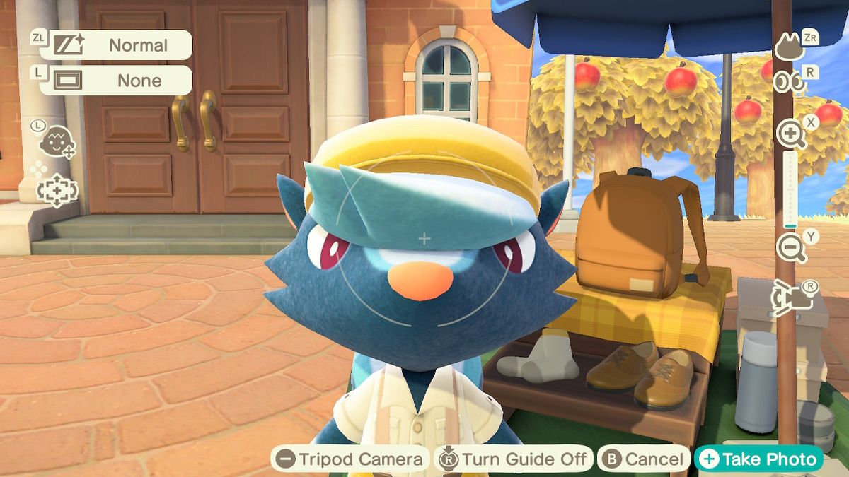 Animal Crossing: New Horizons — How to unlock and use the Pro Camera ...
