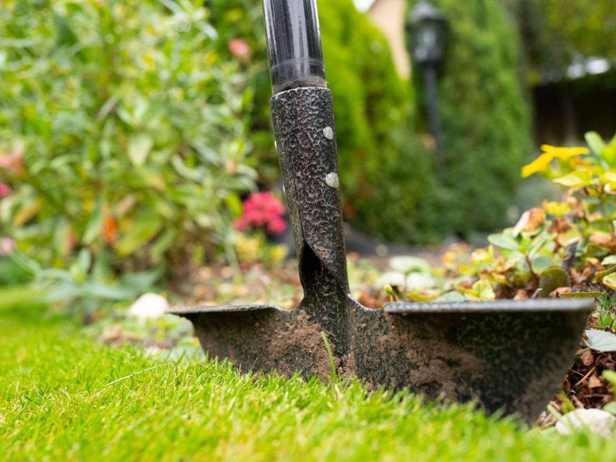 Lawn And Garden Edgers What Is An Edger Used For In The Garden Gardening Know How