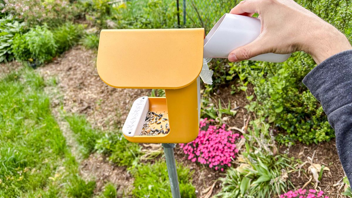 Bird Buddy review | Tom's Guide