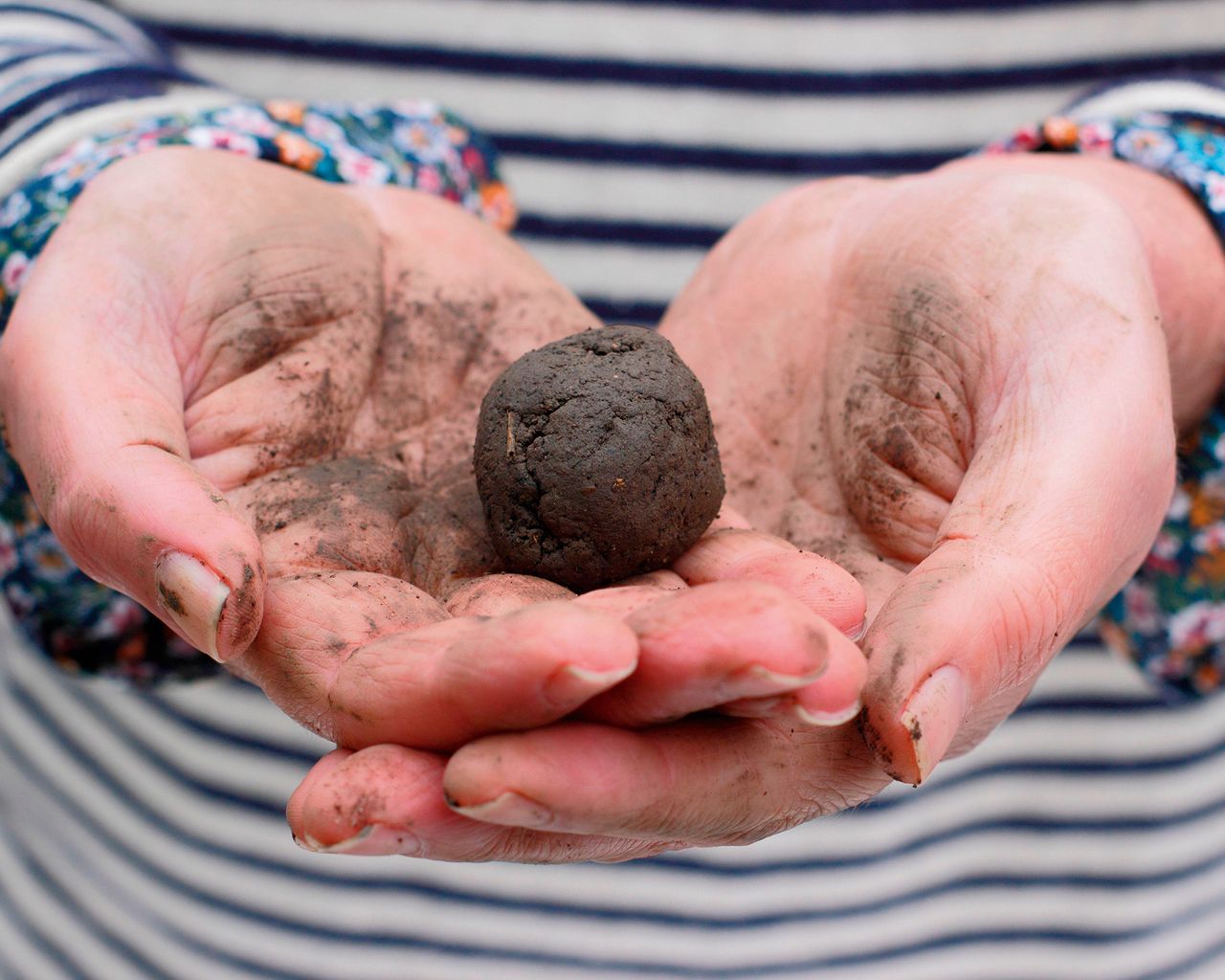 How To "Feel" Soil Is Ready To Plant – Easy Tests And Fixes | Gardening ...