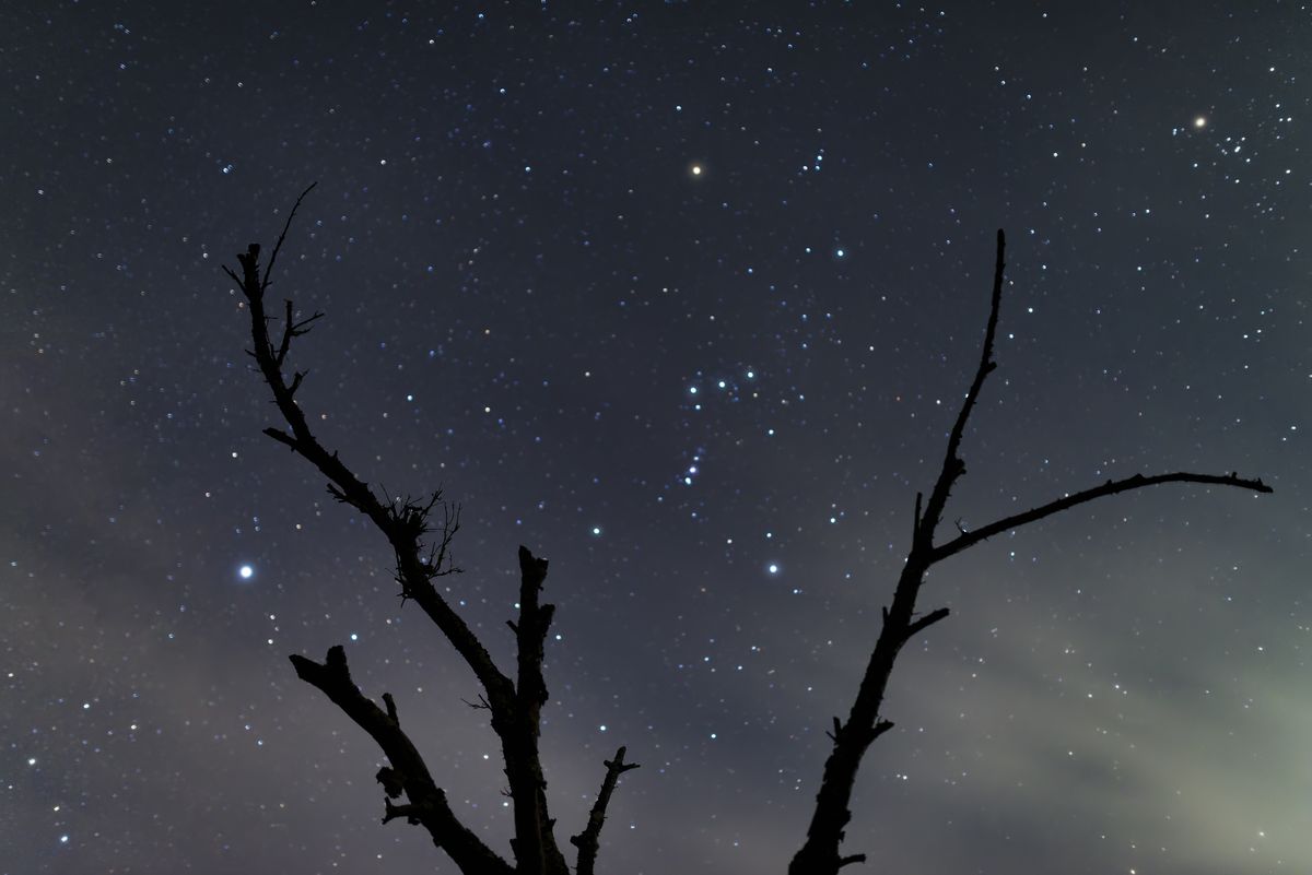Tour Orion the Hunter as we visit a constellation icon | Space