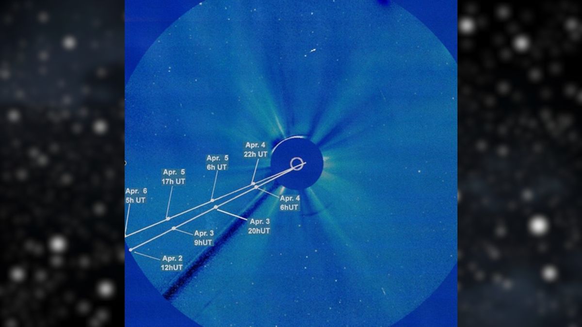 Comet MAPS faces a make-or-break moment as it dives toward the sun on ...