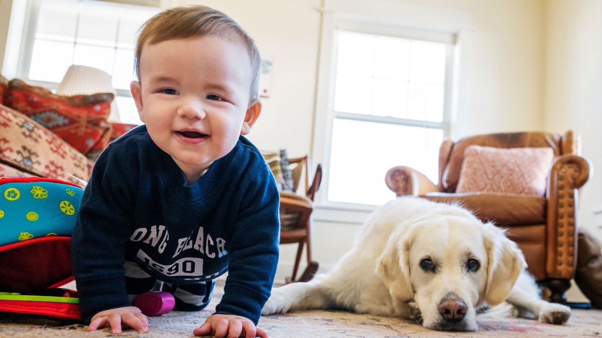 What I wish I knew before I had a baby and a dog | PetsRadar