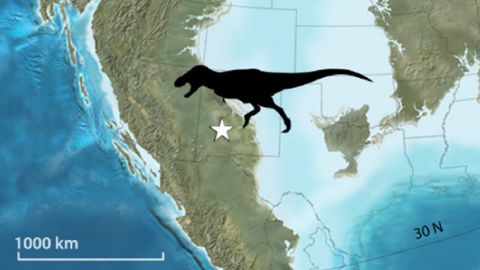 Newfound T. rex relative was an even bigger apex predator, remarkable ...