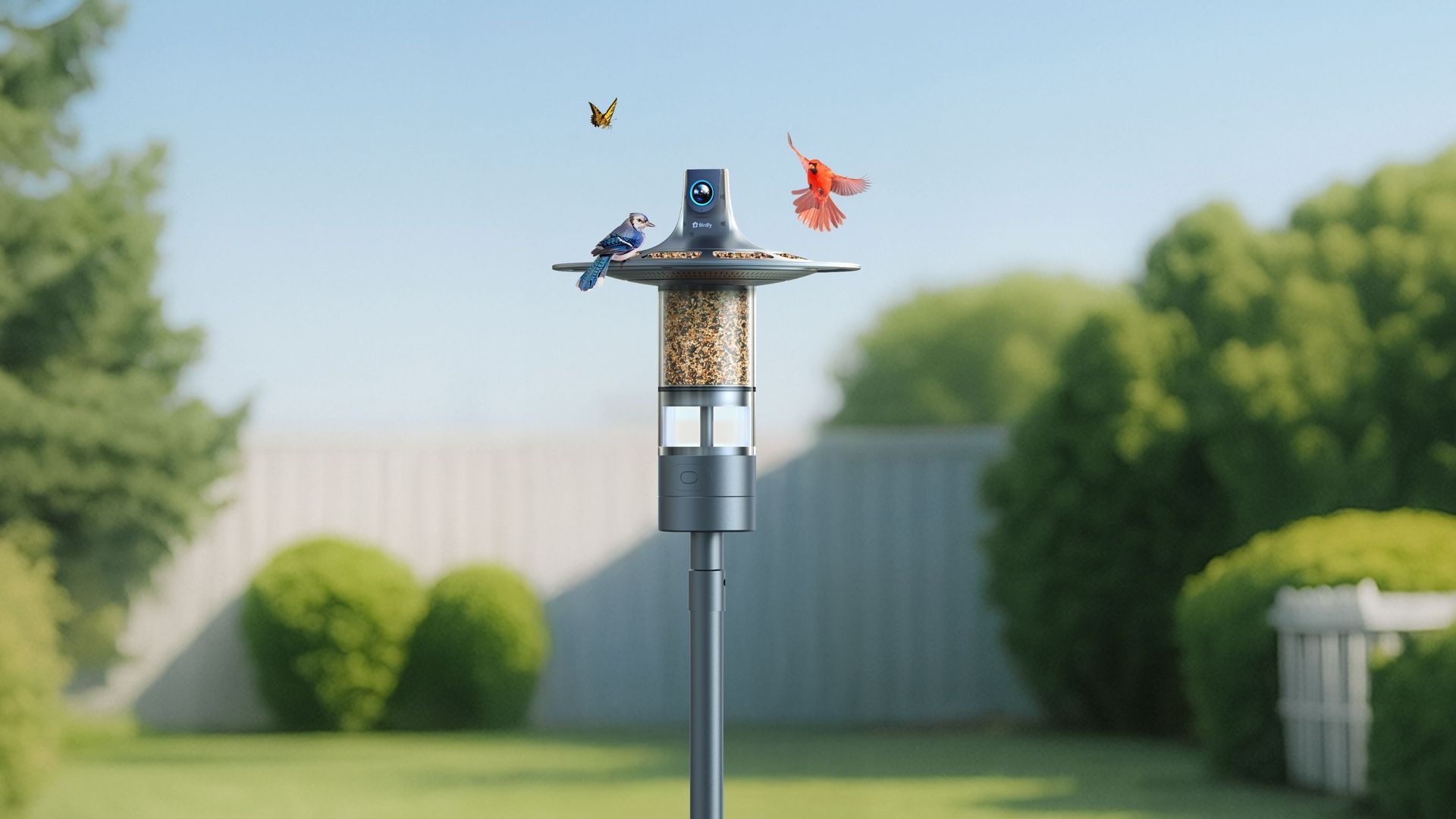 The world's first 360-degree bird feeder camera lets you film every ...