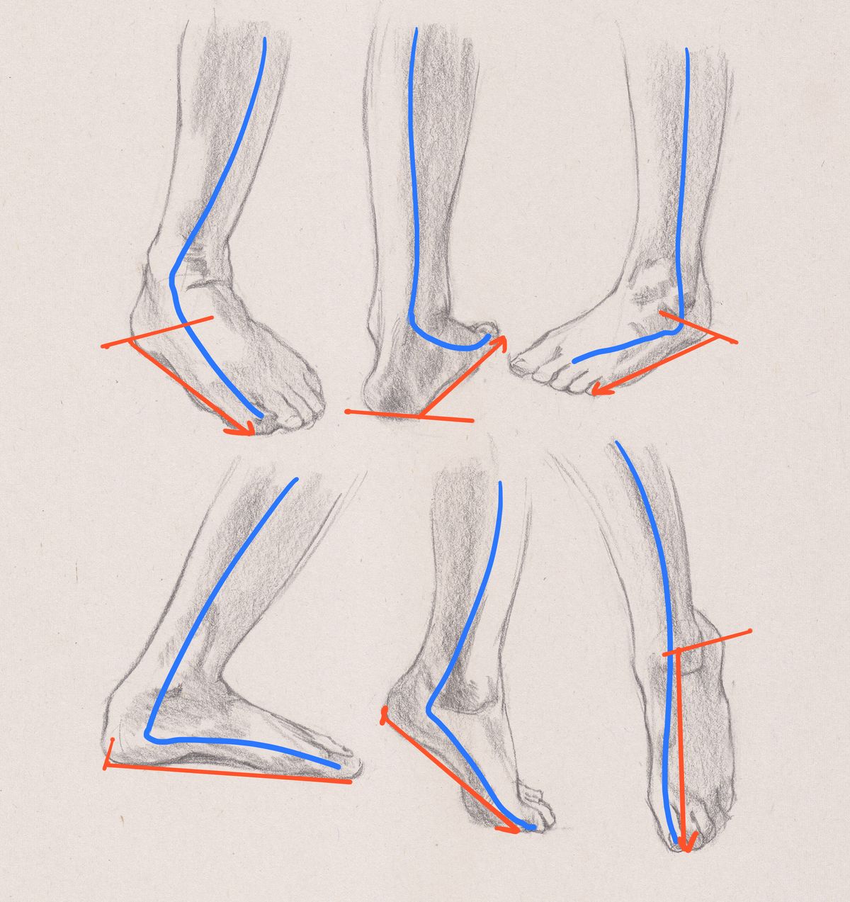 How to draw feet | Creative Bloq