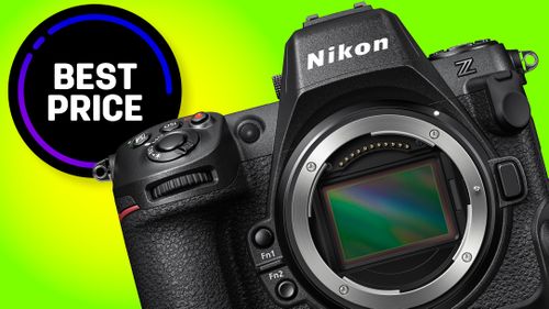 Nikon shutter type options explained - which do you choose when ...