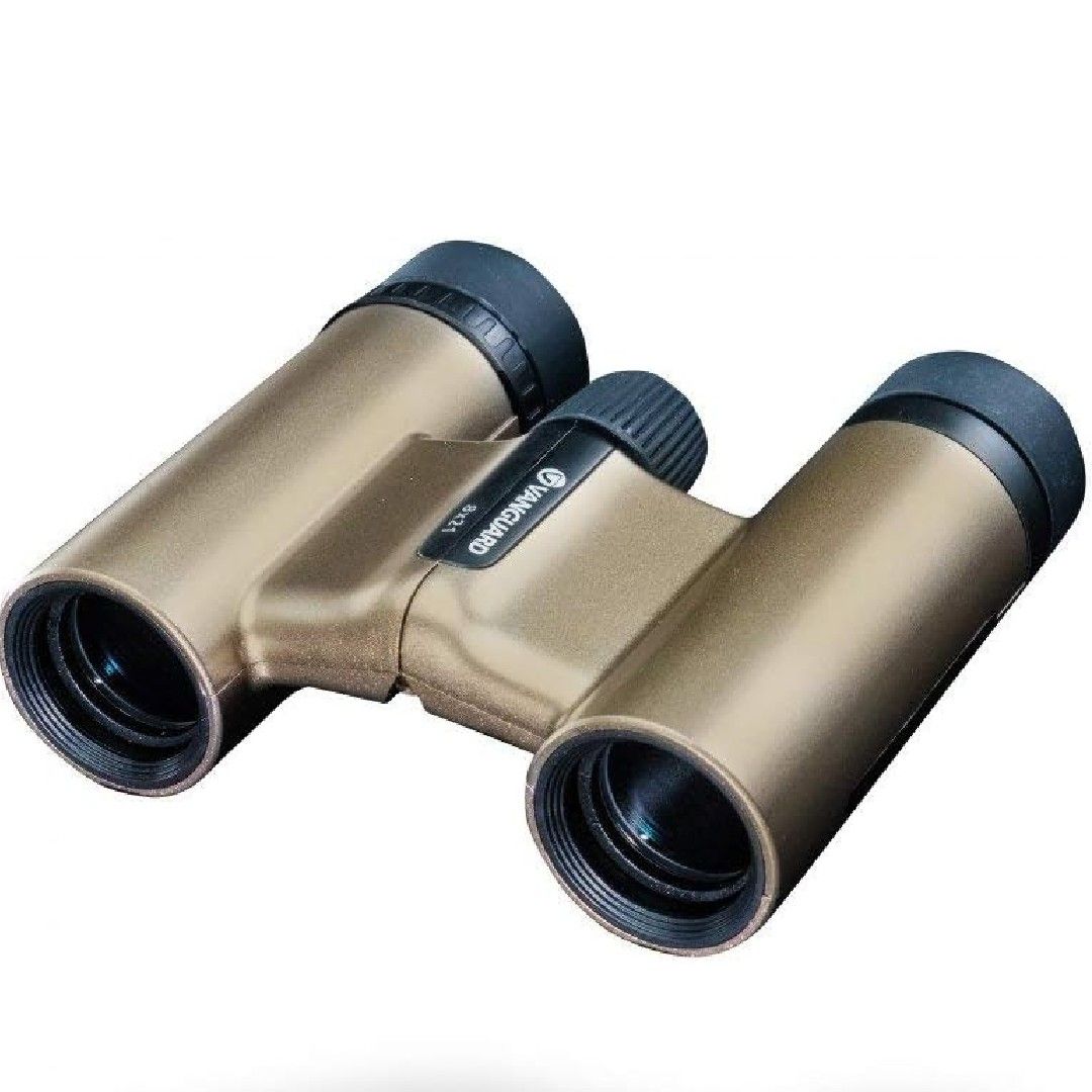 Best compact binoculars in 2025: roof prism binos that you can take ...